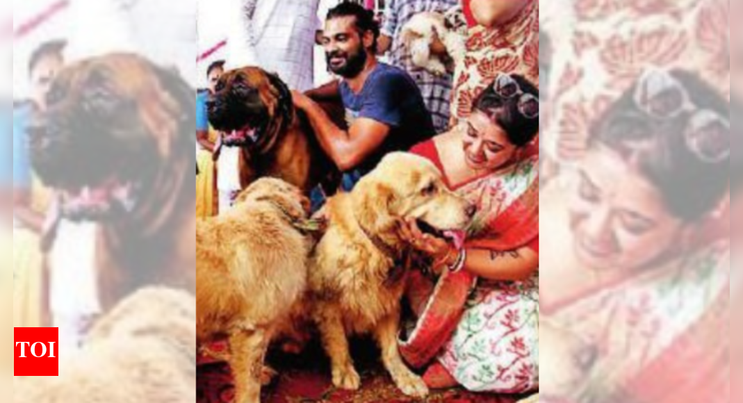 Goddess, humans and their best friend on one Khuti Puja dais | Kolkata ...