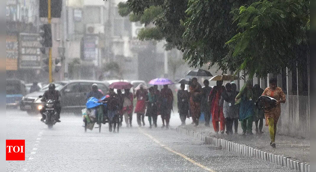 Rain: Rains bring flu, malaria and dengue to city; slight uptick in ...