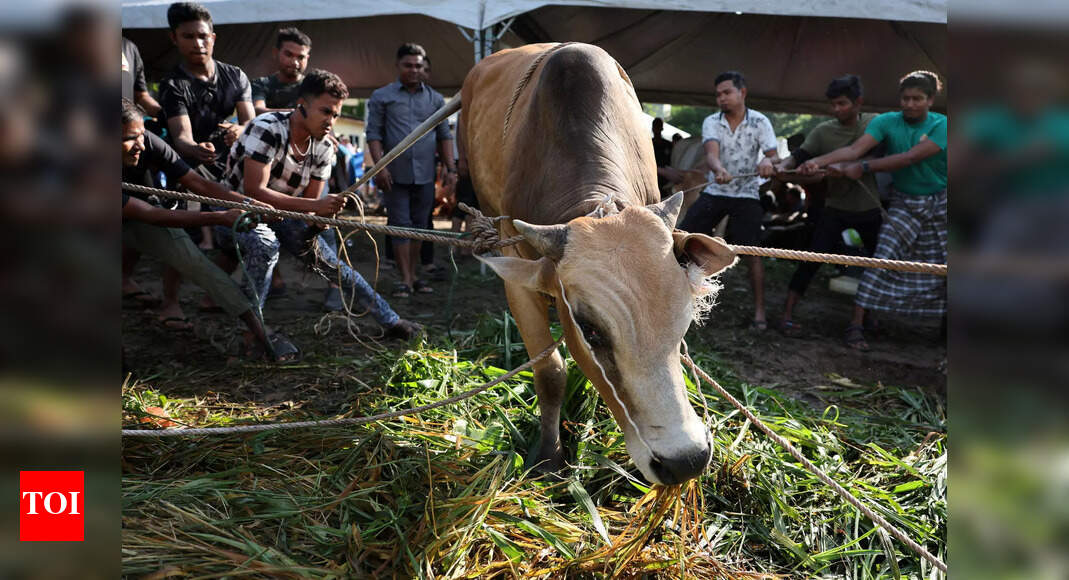 Pakur: Pakur tense over sacrifice of ‘prohibited’ animal | Ranchi News ...