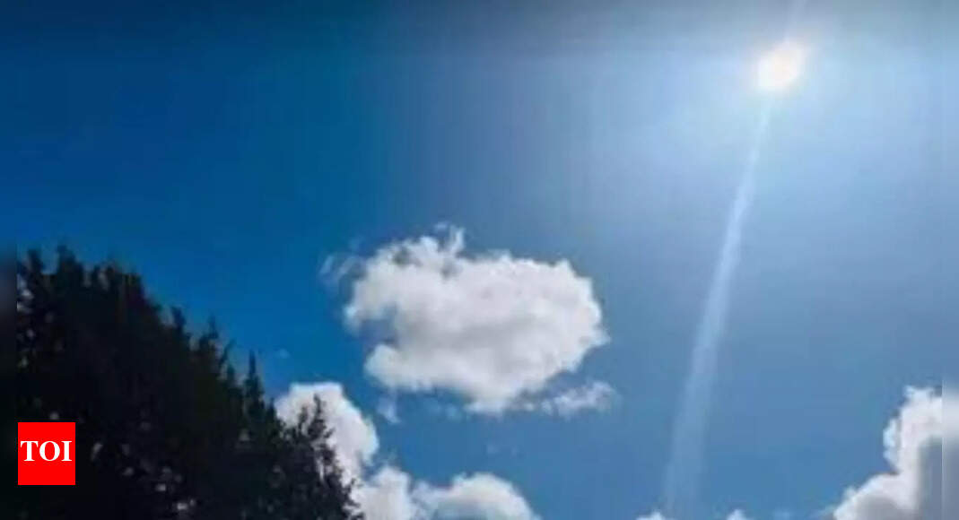 Extreme heat wave poses risk to over 75 million people in US: How to ...