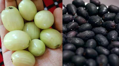 White Jamun vs Purple Jamun: Which is Healthier? | - Times of India