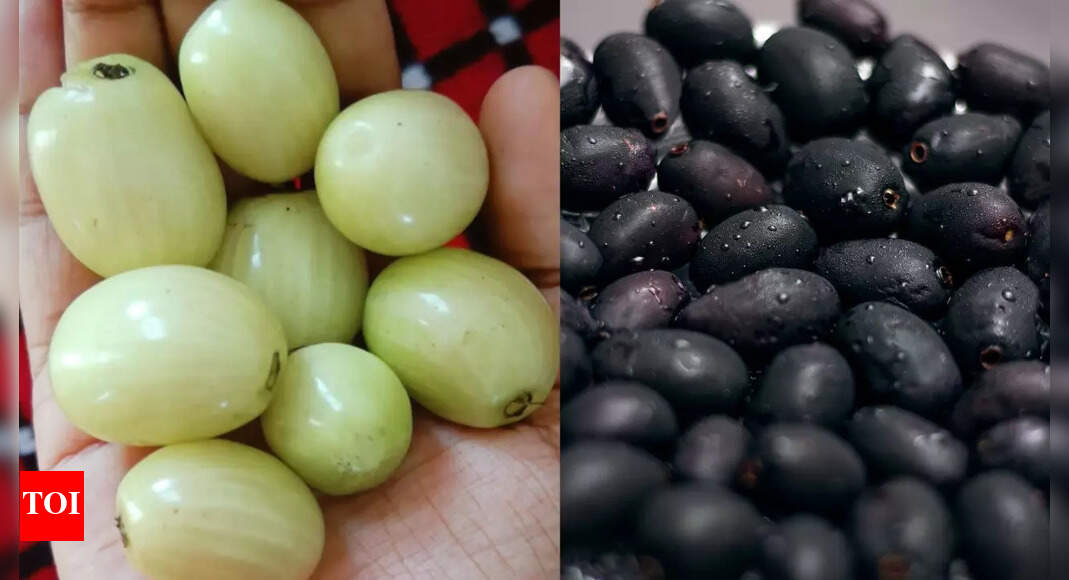 White Jamun vs Purple Jamun: Which is Healthier? | - Times of India