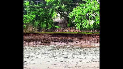 River Embankment Repairs: Kendrapada villagers seek river embankment ...