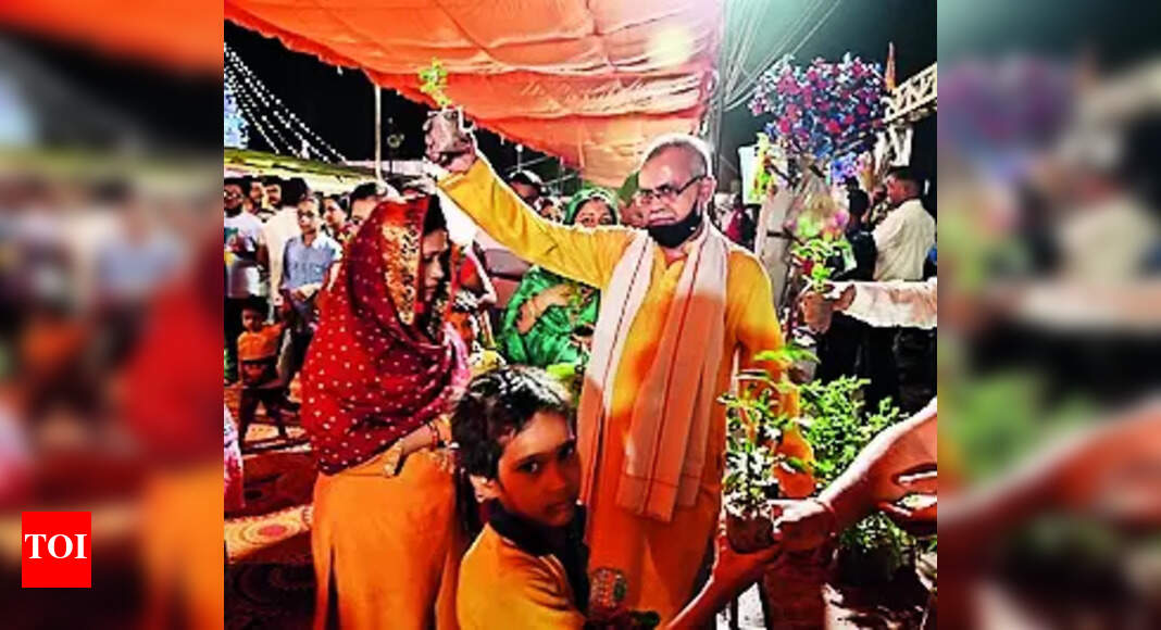 Climate Change: Plants up for grabs at bhandaras to combat climate ...