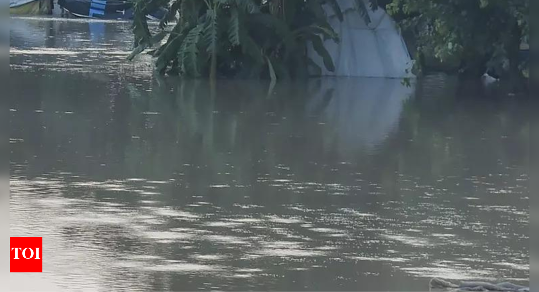 50 metres area along Kukrail river declared ‘floodplain’ | Lucknow News ...