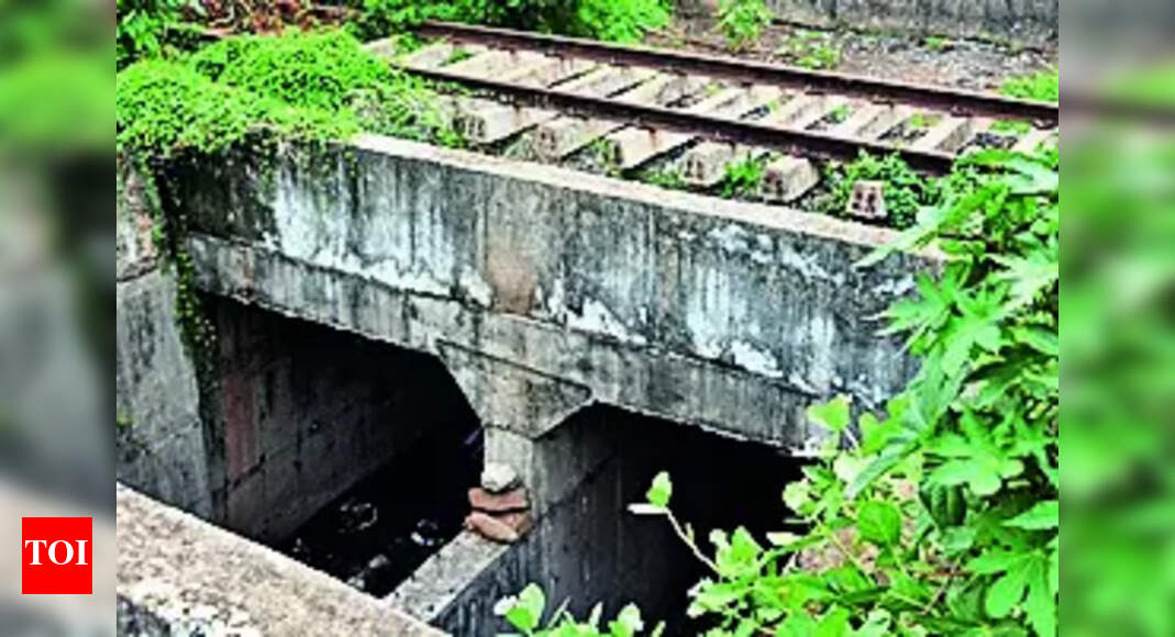 Bhubaneswar Municipal Corporation: Residents use Drain No. 5 for Daily ...