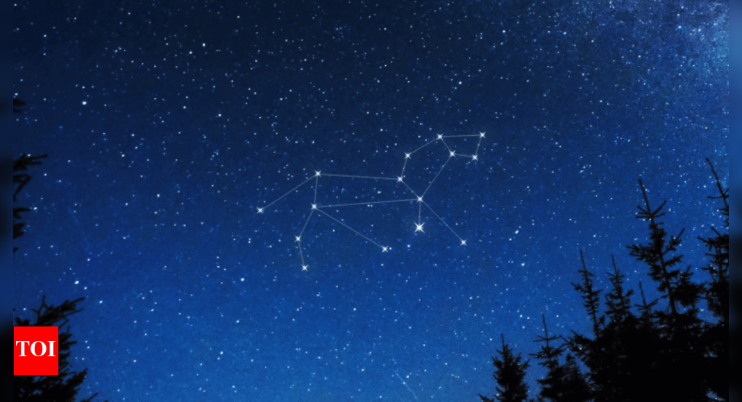 The myth of Leo: Tales of valor and regality - Times of India