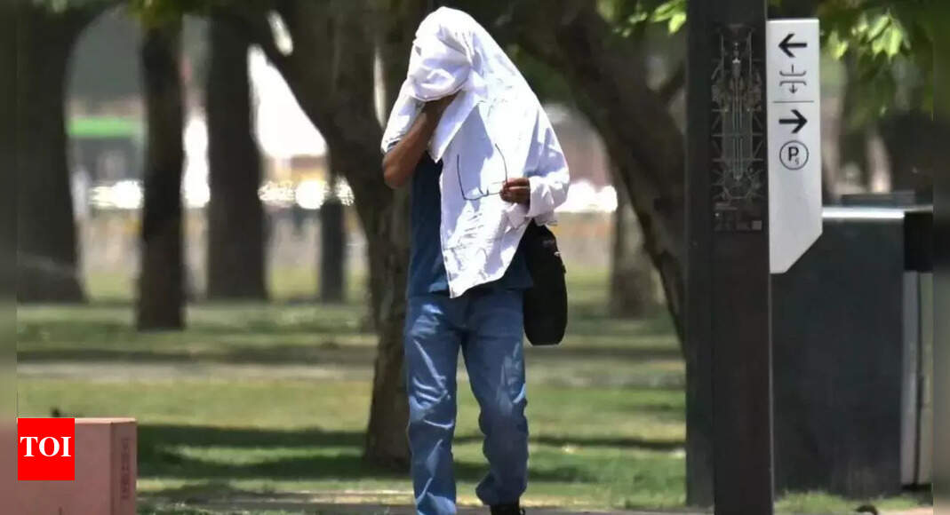 Delhi heatwave: Longest & severest spell of heat in at least 74 years ...