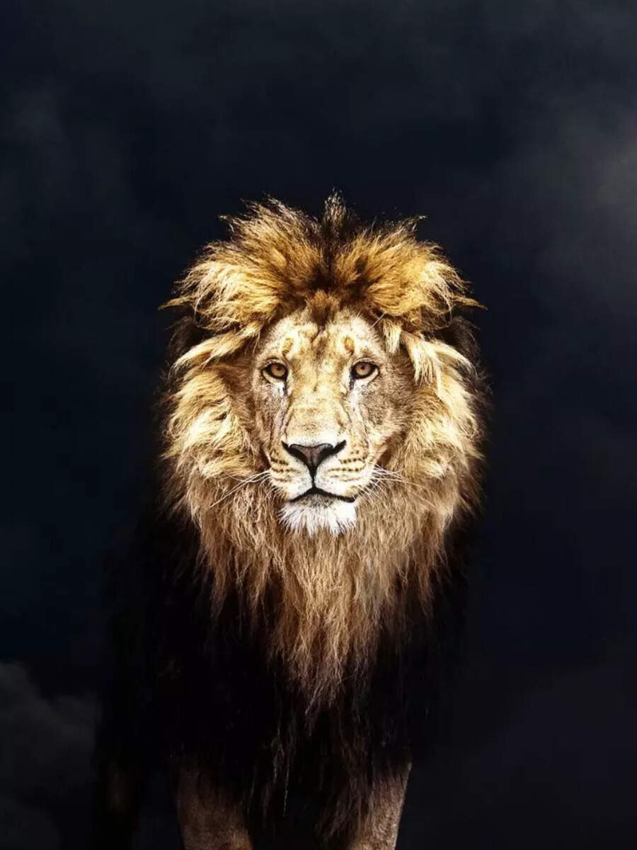 10 most unique abilities in animals that prove they are true wonders of ...