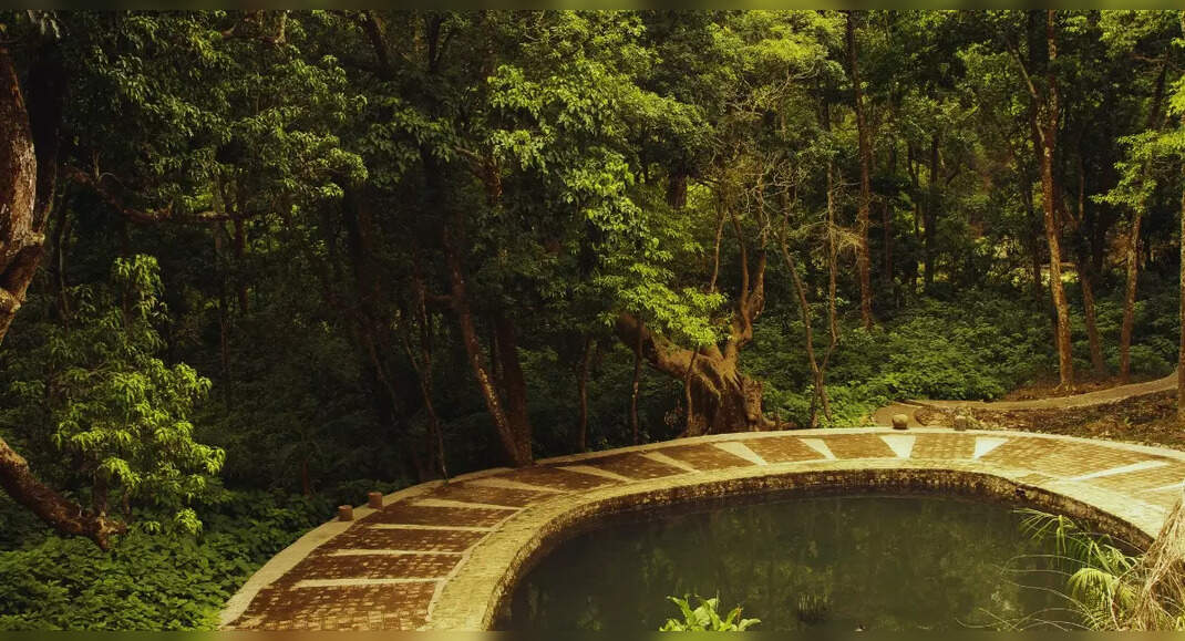 Forests in India that one can visit in monsoons | Times of India Travel