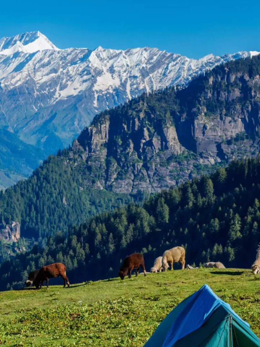 10 Unforgettable Stops On Your Kullu Manali Adventure | Times Now