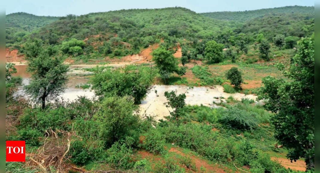 Aravalis: Haryana to conduct first baseline Aravali survey to map ...