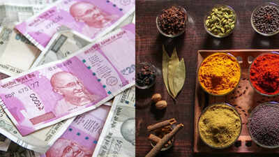 6 Kitchen ingredients that can attract money - Times of India