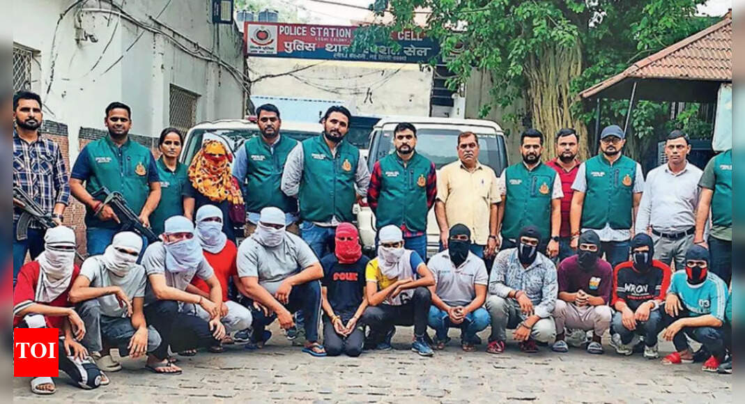 Gang Members: 16 gang members held in crackdown by Special Cell | Delhi ...