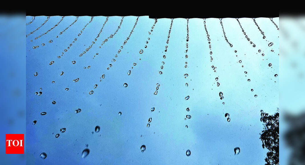 Orange alert issued for Goa, warning of high waves as well as very ...