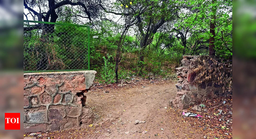 Saket Residents: Allegations of Land Grab and Tree Cutting in Deemed ...