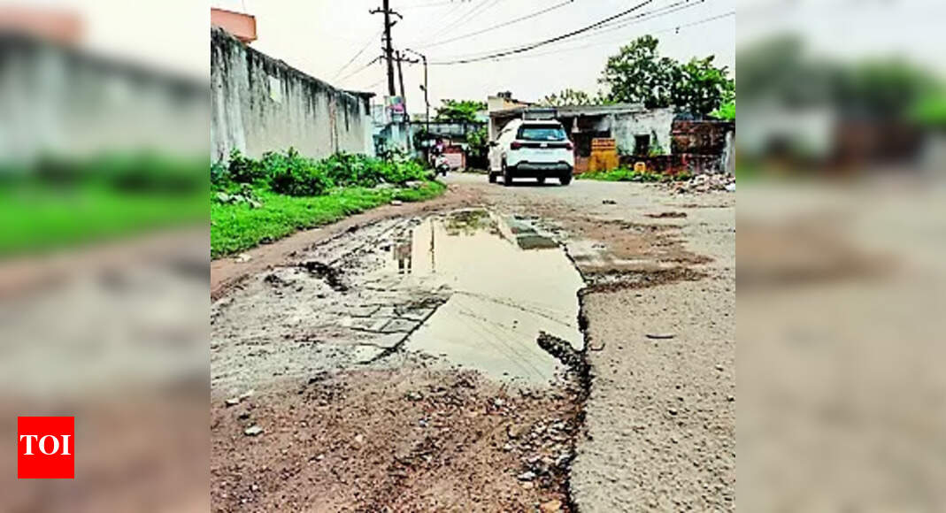 Jamshedpur: JNAC plans revamp and beautification of Steel City | Ranchi ...