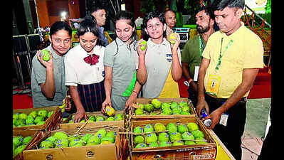 Mango Festival: Biz worth ₹29 lakh in 2-day mango festival | Patna News ...