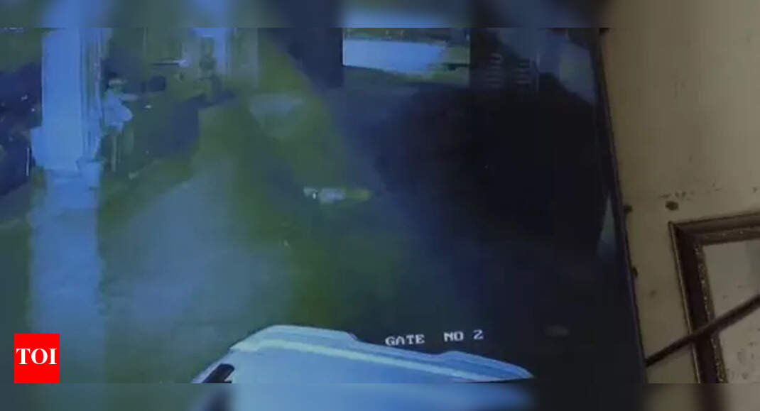 Dog Pushed Off Terrace: Dog pushed off 7th-floor terrace, dies | Noida ...