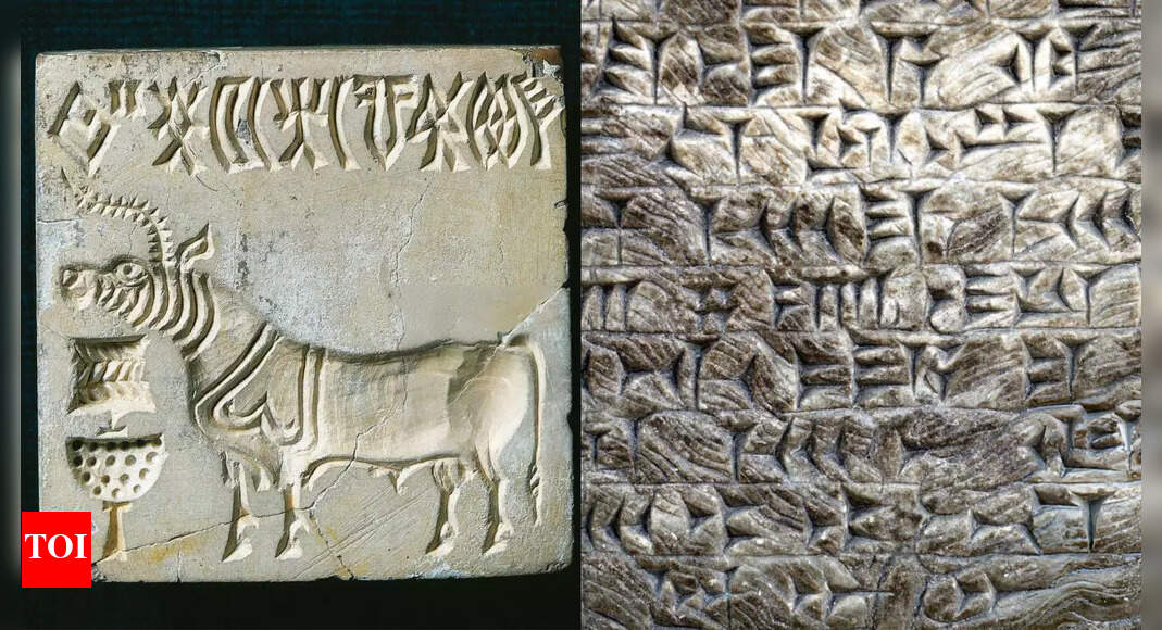 These languages are written from both right and left and this is what ...