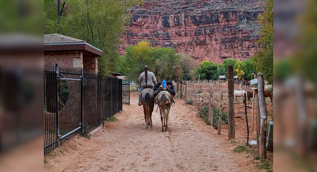 Supai, the only place in America where mail is still delivered by mule ...