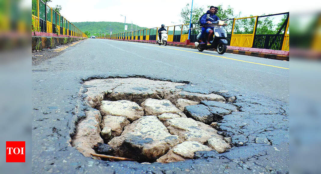 Borim bridge built for Rs 3cr but Rs 30cr flowed to bolster, maintain ...