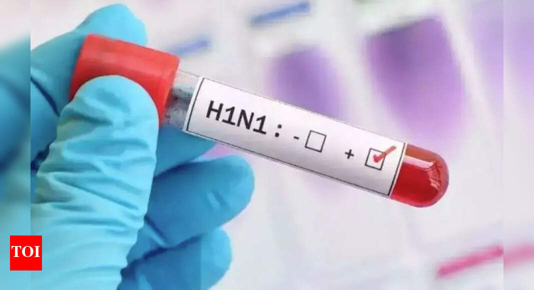 H1N1 Test: Government Committee Formed to Regulate Price of H1N1 Test ...