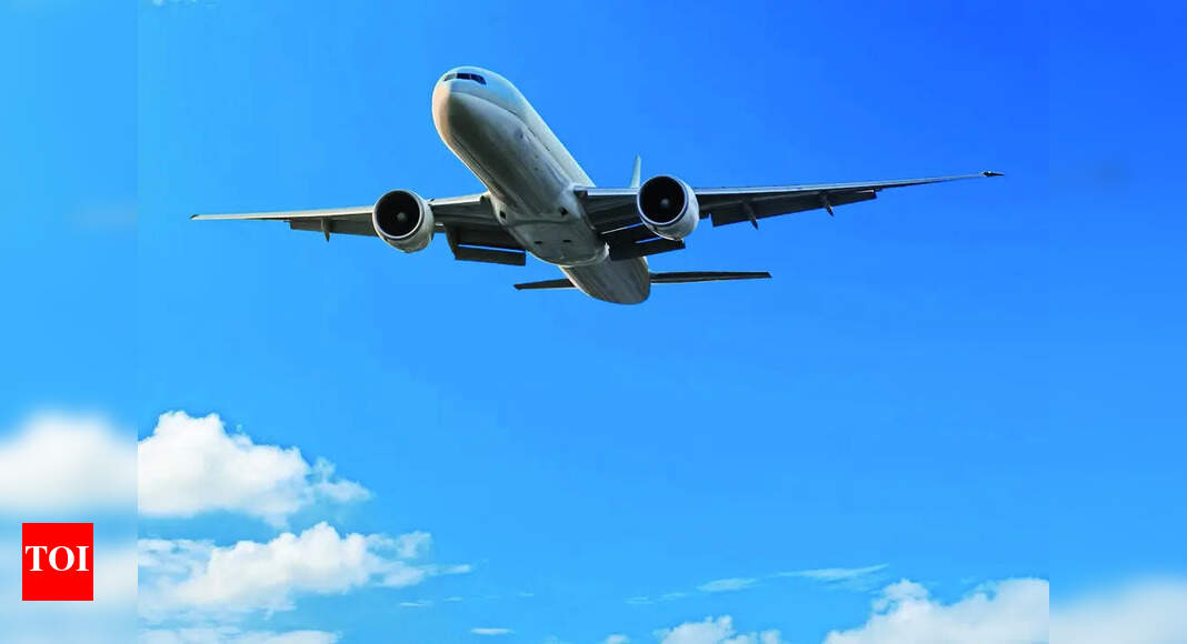 IndiGo Flight: IndiGo Flight Incident: Woman Booked for Abusing Crew ...