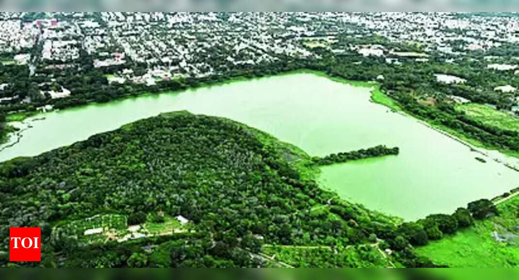 Intach: Intach hired for Clean Ganga project: DC | Mysuru News - Times ...