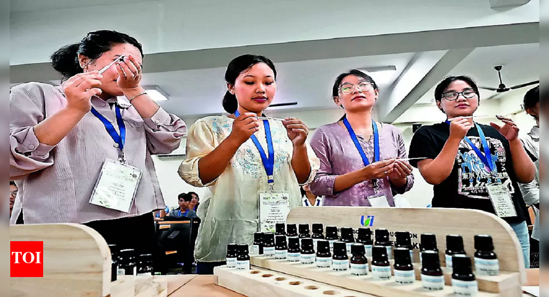 Manipur Women: Scent of Coexistence: Manipur’s Women Find Hope and ...