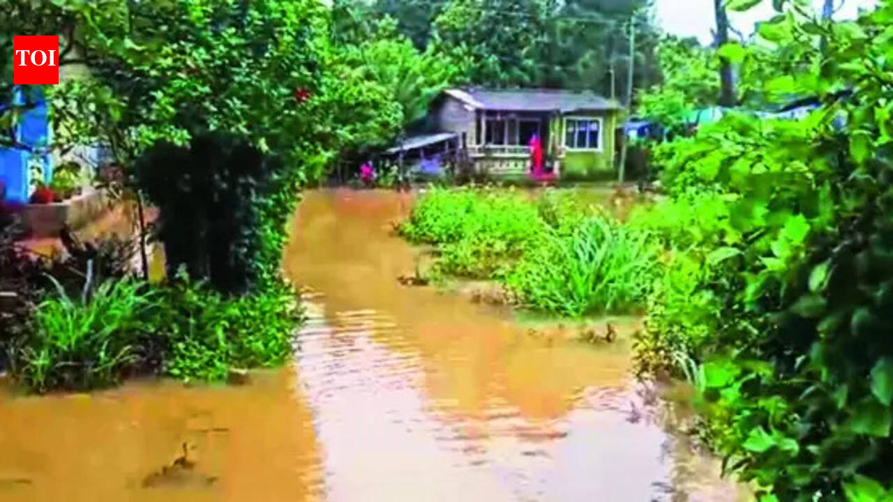 Minor landslips and tree uprooting in Gudalur and Pandalur | Coimbatore ...