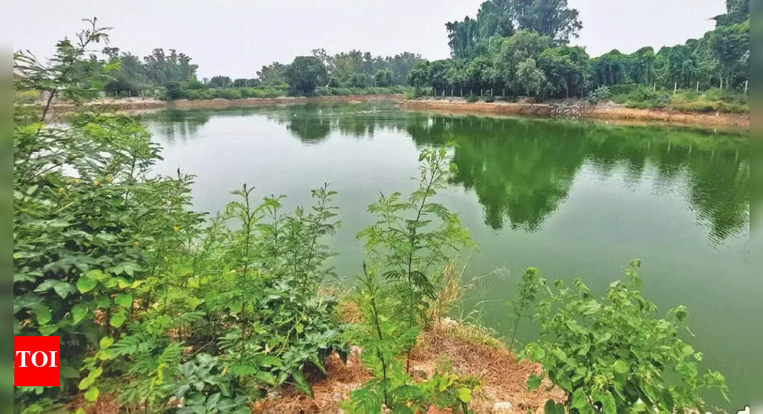 Delhi Govt's Successful Lakes Project Helps Recharge Groundwater | Delhi News - Times of India