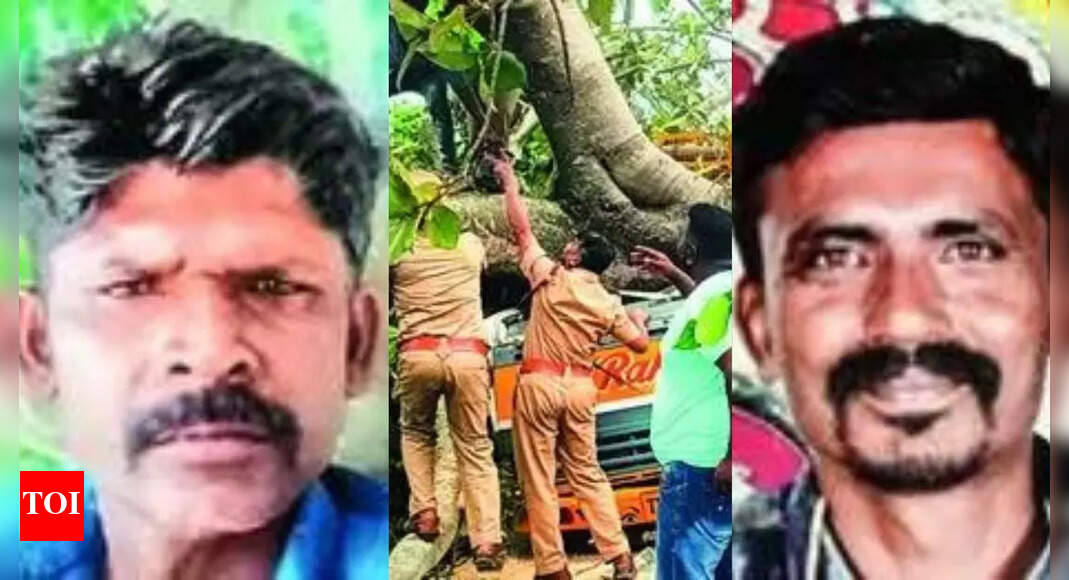 Banyan Tree: Two killed as tree falls on truck | Salem News - Times of ...