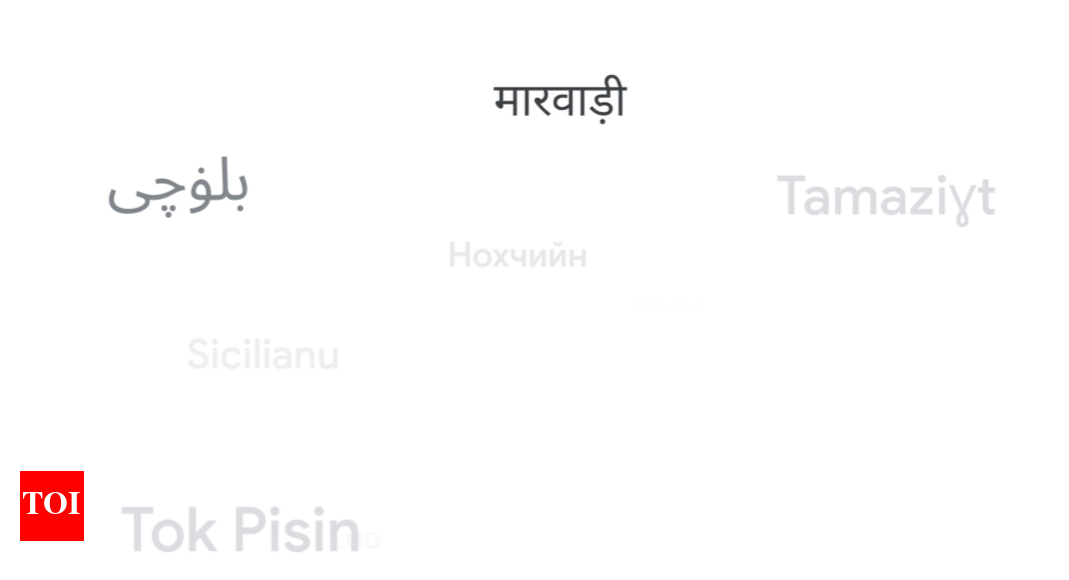 Google Translate now supports Punjabi, Marwari, Awadhi and 107 other ...