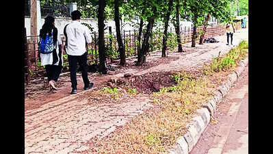 Footpaths: Deteriorated Footpaths in H-D Pose Risk to Pedestrians ...