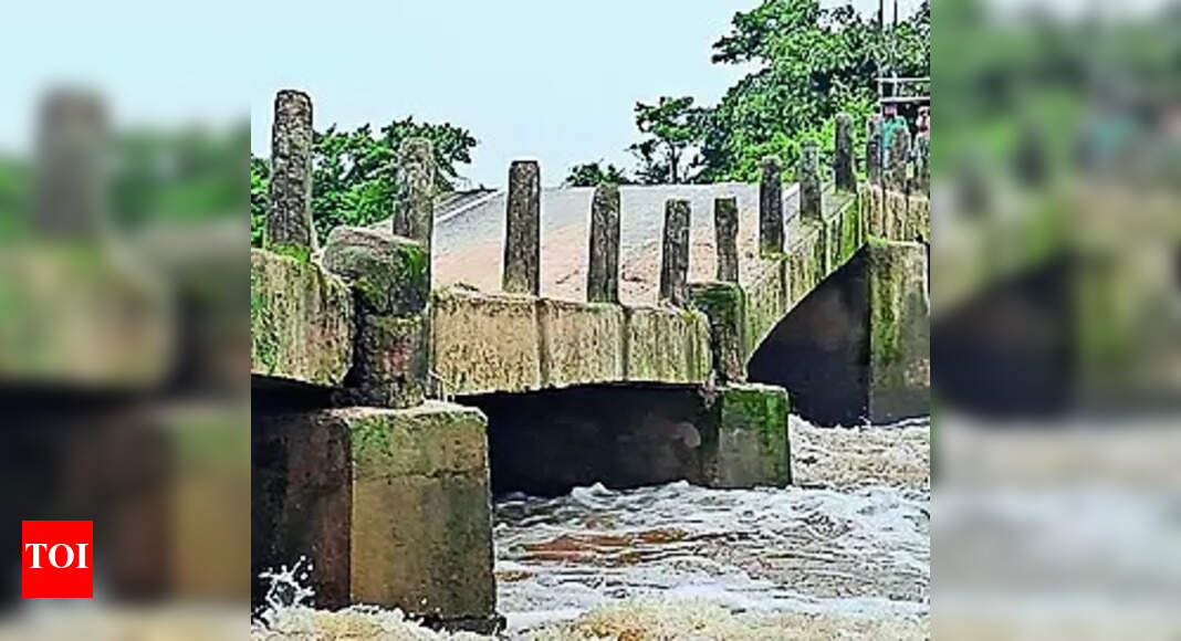 Bridge Collapse: Bridge Collapses in Kishanganj District | Patna News ...