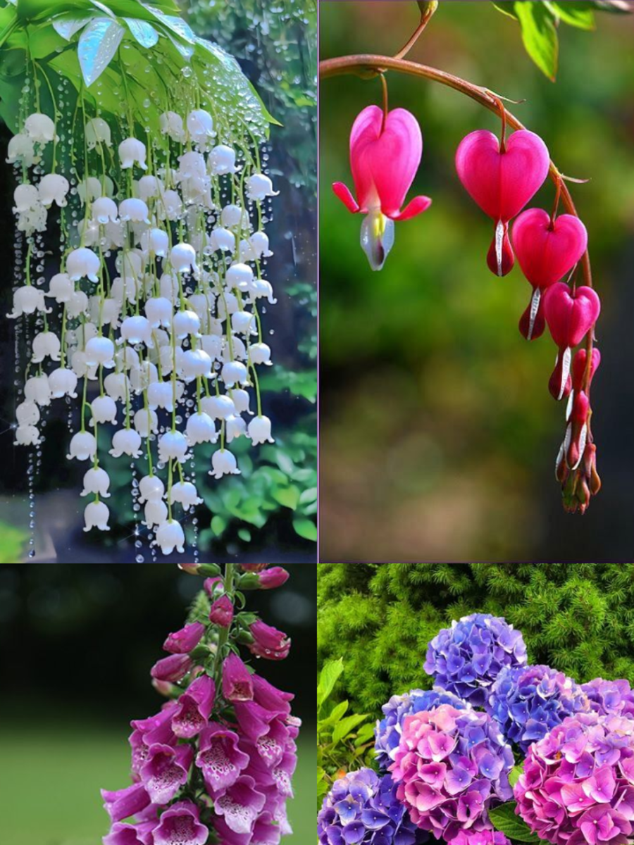10 Beautiful Flowering Plants That Love The Rain | Times Now