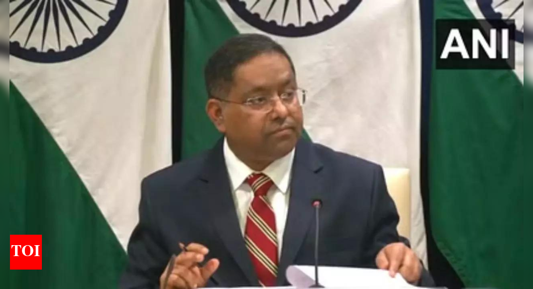 We oppose unilateral actions in SCS: MEA | India News - Times of India