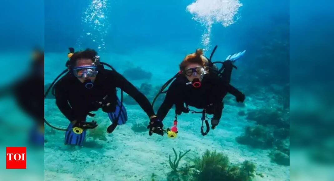 Scuba Diving Centre: State budget push for tourism with scuba diving ...
