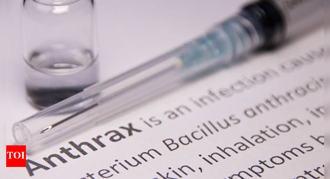 Anthrax cases in India: Key symptoms and preventive tips to know ...