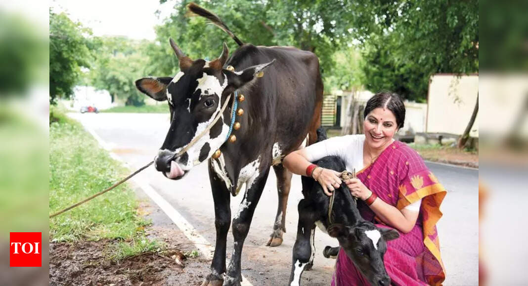 Rearing cows has taught me so much about life: Bhavana Ramanna ...