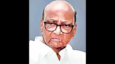 Maharashtra Assembly Elections: MVA need not name CM pick, says Pawar | Kolhapur News - Times of ...