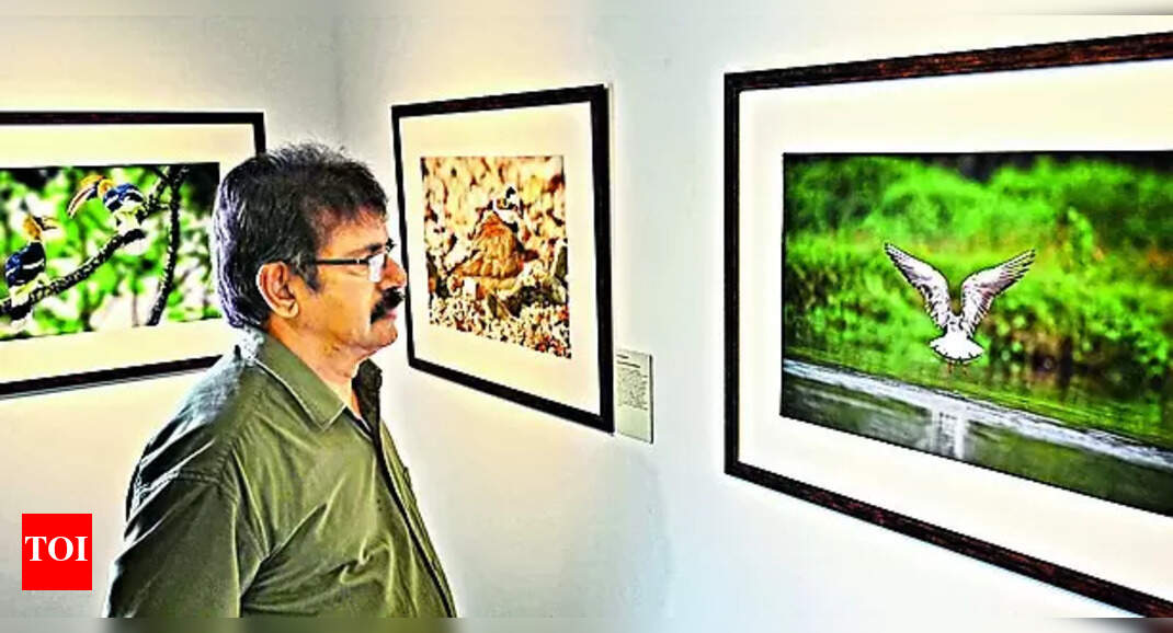 Bird Photography: Exhibition pays tribute to Induchoodan | Kochi News ...