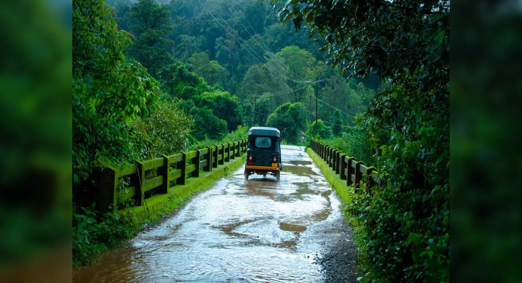Monsoon tourism: Things to do in Kerala | Times of India Travel