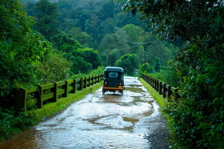 Monsoon tourism: Things to do in Kerala | Times of India Travel
