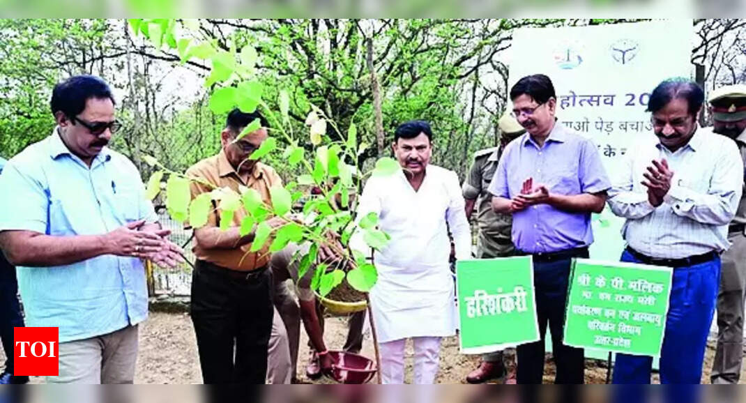 Van Mahotsav 2024: 'Ek Paudha Maa Ke Naam' Theme Kicks Off with Tree ...