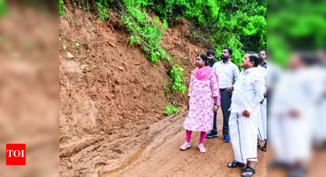 Gudalur: Gudalur and Pandalur Return to Normalcy After Rain-Related ...