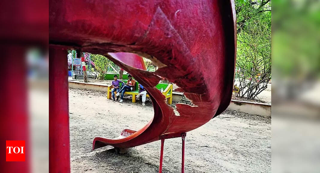 Damaged Swings: Damaged swings and slides in zoo pose risk to kids ...