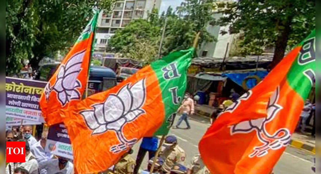 BJP likely to field a Muslim for assembly bypoll in UP | India News - Times of India
