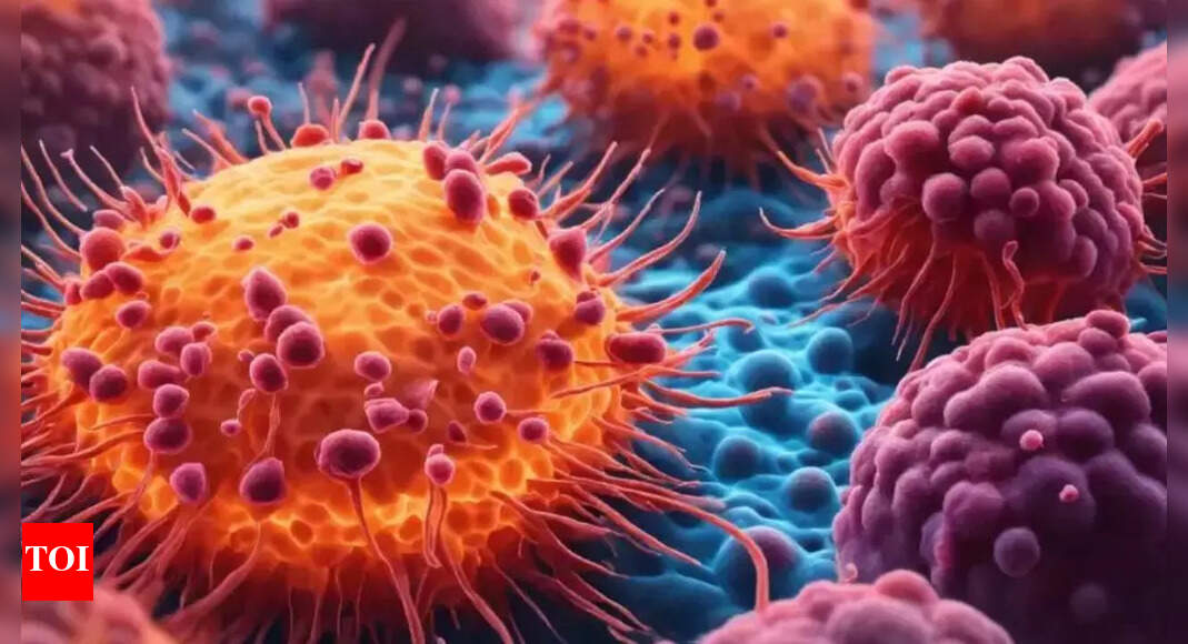 Harmful Bacteria: Harmful Bacteria Survive 5 Times Longer In Humid ...